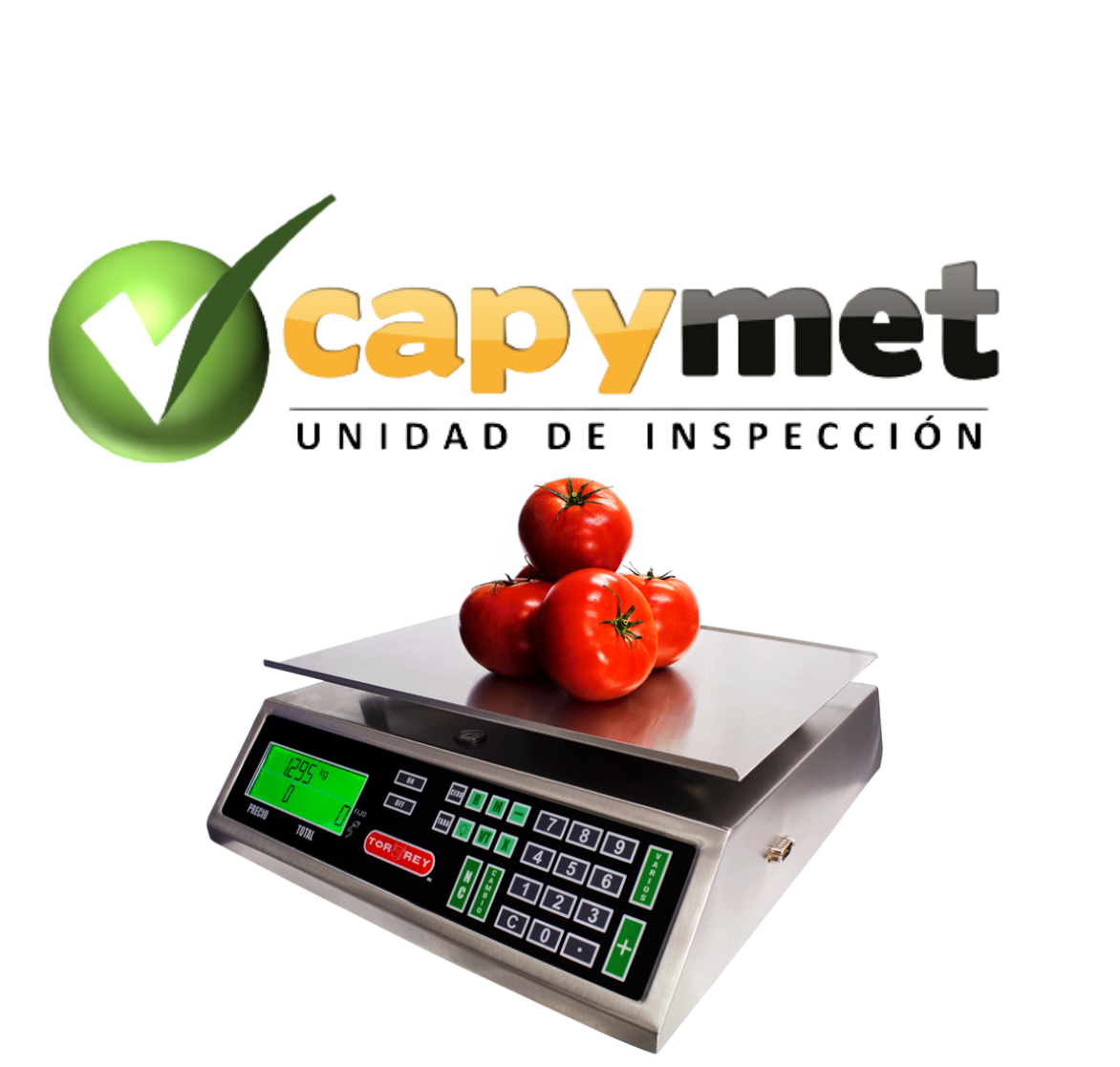 Services | CAPYMET